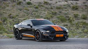 Car Rental Cincinnati Airport | Flexible Bookings | SIXT rent a car