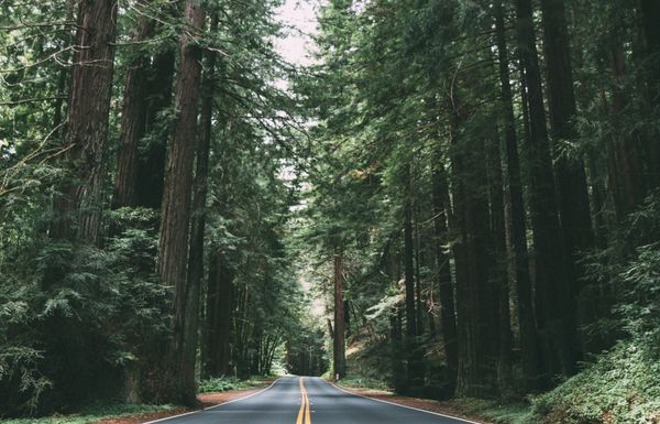 ᐅ Mietwagen San Francisco Int. Flughafen | Beste Angebote | SIXT